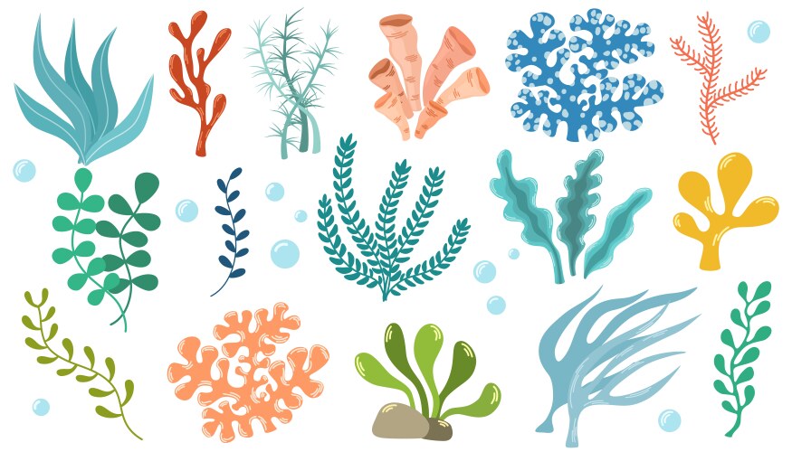 Coral Vector Images (over 70,000)