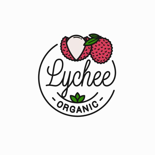 Lychee Vector Images (over 3,800)