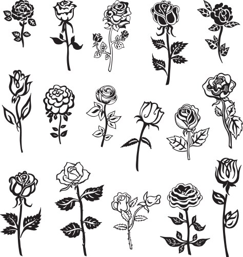 Roses design elements Royalty Free Vector Image