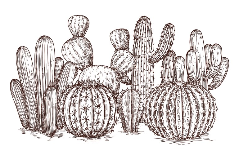 Cactus Outline Vector Images (over 14,000)
