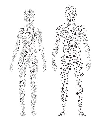 Human Body Vector Images (over 260,000)