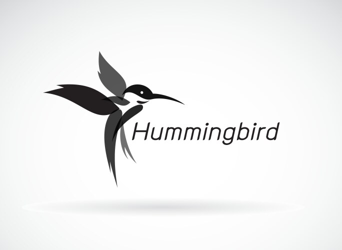 Hummingbird Outline Vector Images (over 2,400)