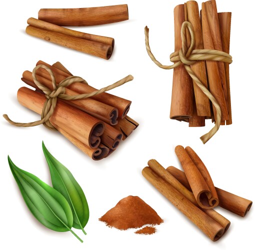 Cinnamon Vector Images (over 21,000)