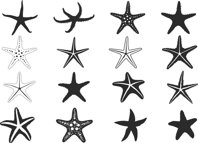 Starfish Vector Images (over 46,000)