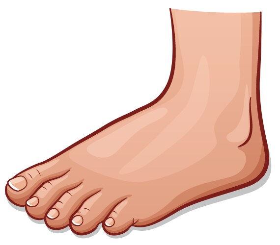Cartoon Foot Vector Images (over 38,000)