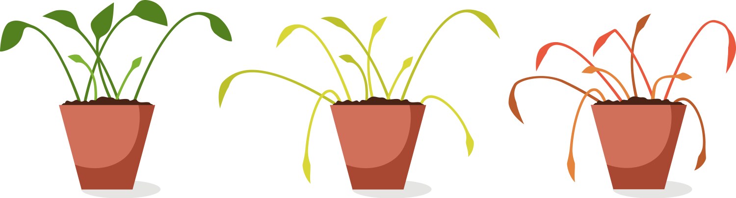 Dying Plants Vector Images (over 360)