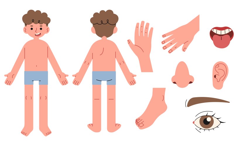 Body Parts Vector Images (over 37,000)