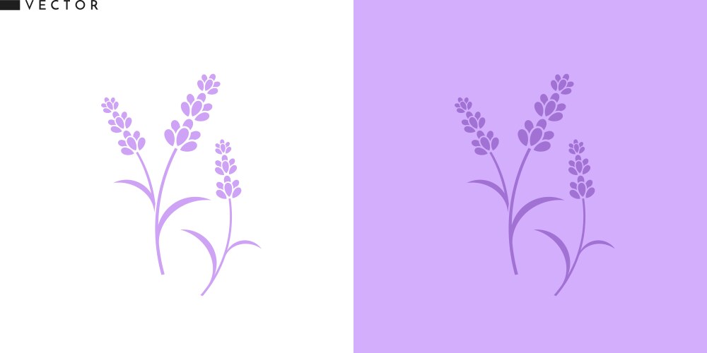Lavender Vector Images (over 20,000)
