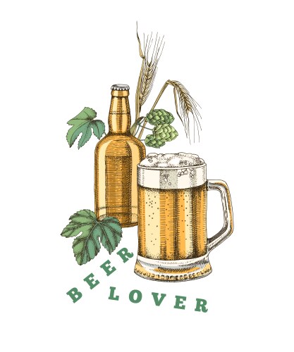 Beer styles map for bars Royalty Free Vector Image