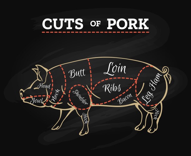 Pig Outline Vector Images (over 15,000)