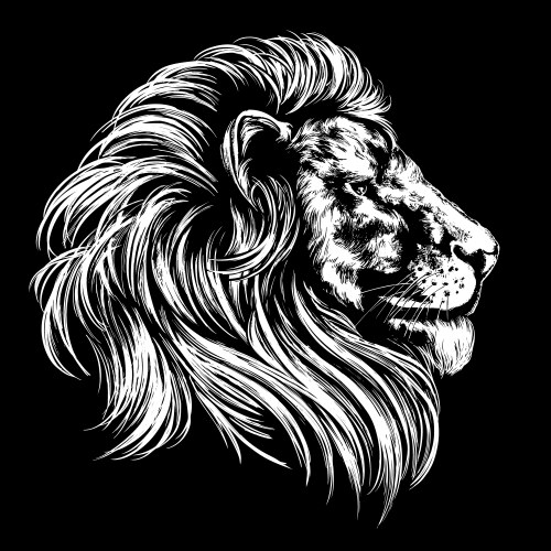 Lion Vector Images (over 110,000)