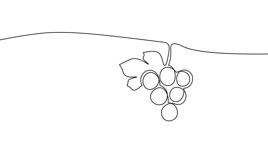 Line Drawing of Grapes Vector Images (over 2,900)