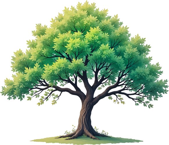Tree of Life Vector Images (over 100,000)