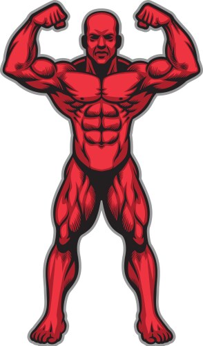 Muscle bodybuilder posing Royalty Free Vector Image