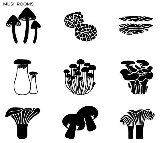 Mushroom and fungi Royalty Free Vector Image - VectorStock