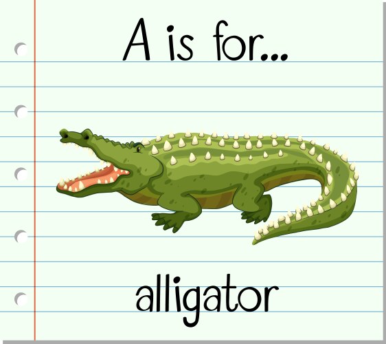 Alligator Flashcard Vector Images (over 110)