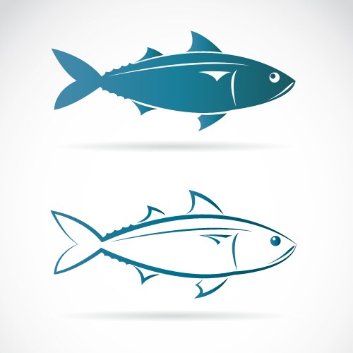Frozen mackerel fresh fish Royalty Free Vector Image