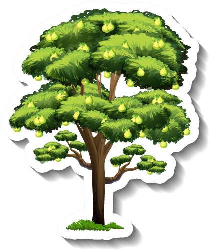 Pear tree on transparent background Royalty Free Vector