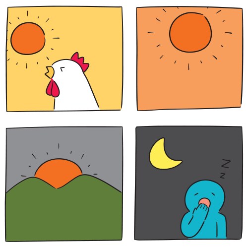 Morning Noon Evening Night Vector Images (over 140)