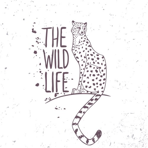 Cheetah Outline Vector Images (over 3,300)