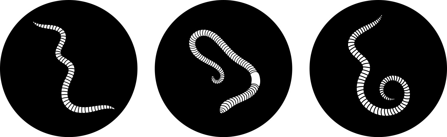 Earthworm Logo