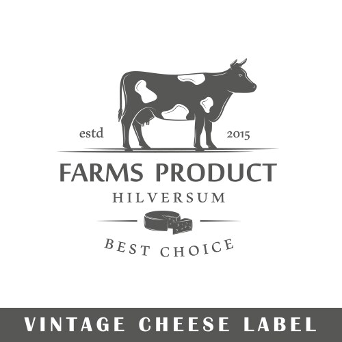 Drawing cheese sketch ingredients vintage dairy Vector Image