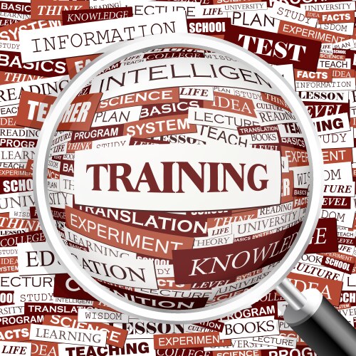 Training Vector Images (over 720,000)