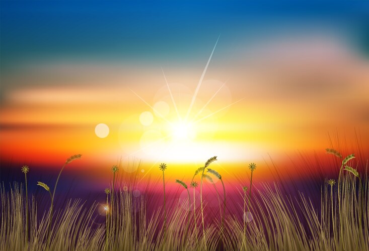 Free Sunset Vector Images (over 8,000)