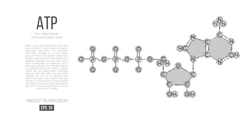 Abstract silhouette polygonal dna Royalty Free Vector Image