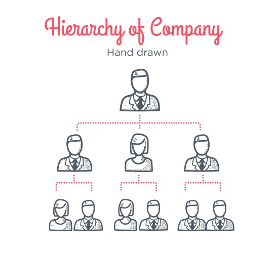 Hierarchy in company organization chart tree Vector Image