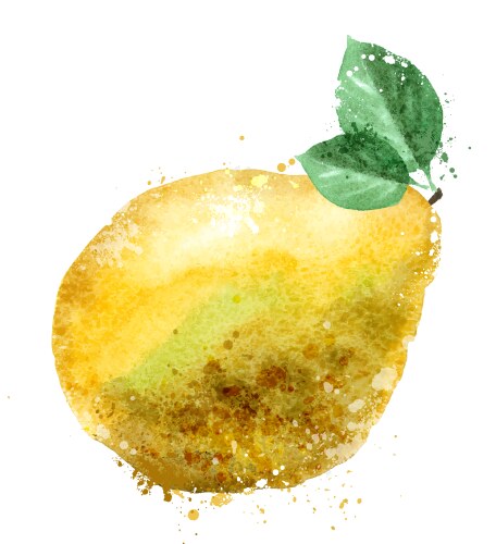 Pomelo exotic fruit tropical food icon Royalty Free Vector