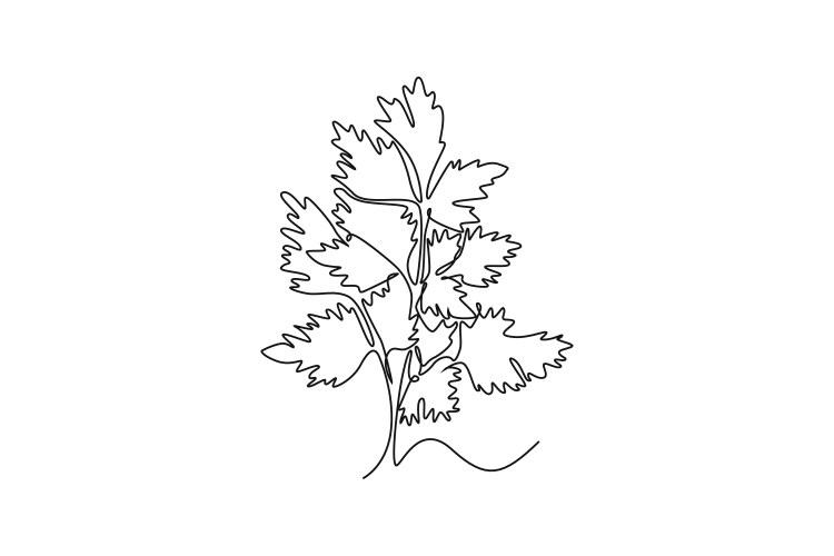 Continuous one line drawing of whole healthy Vector Image