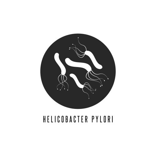 Helicobacter pylori medicine education diagram vec