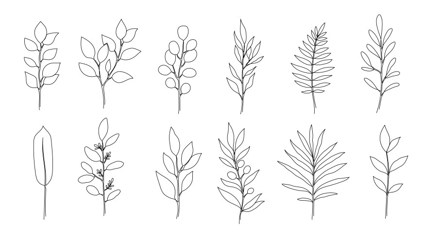 Leaf Outline Vector Images (over 280,000)