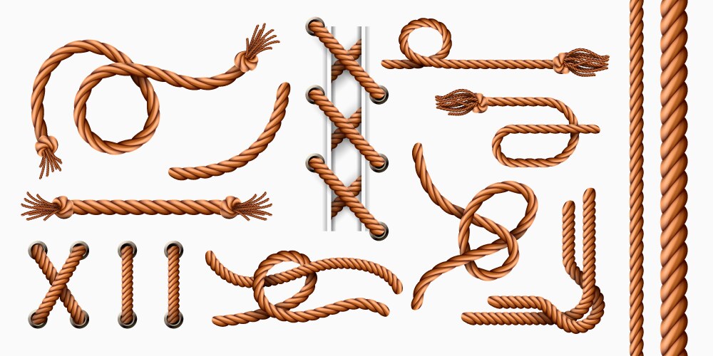 Ropes and knots Royalty Free Vector Image - VectorStock