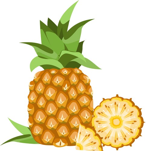 Pineapple chunks Vector Images & Graphics for Commercial Use | VectorStock
