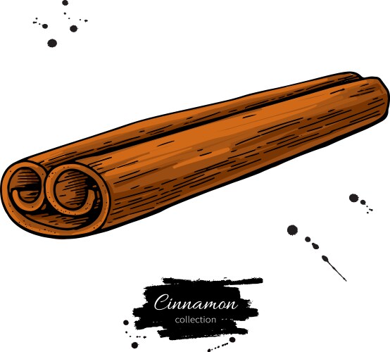 Cinnamon stick tied bunch and powder set Vector Image