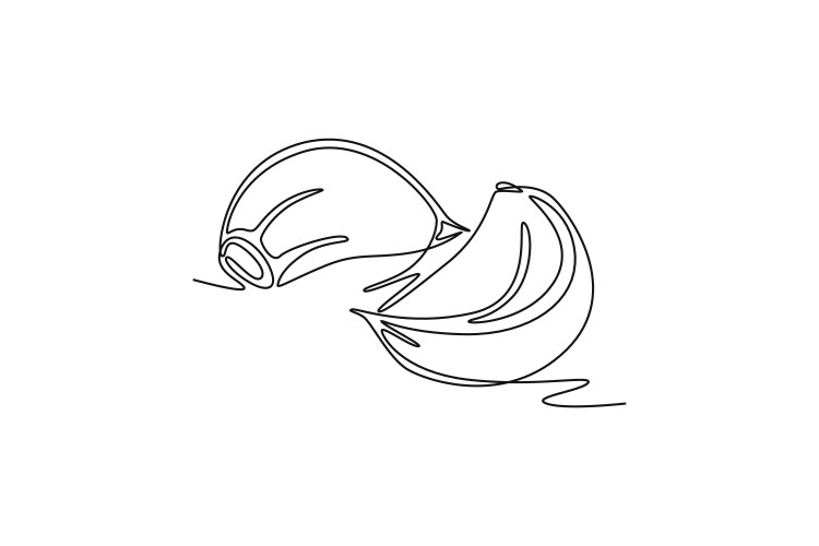 Single continuous line drawing of whole healthy Vector Image