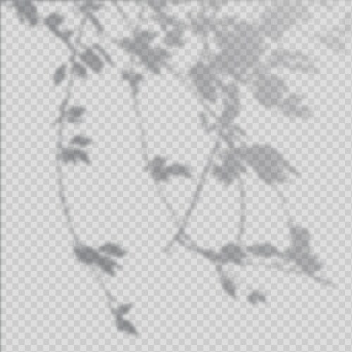 Realistic transparent overlay blurred shadow Vector Image