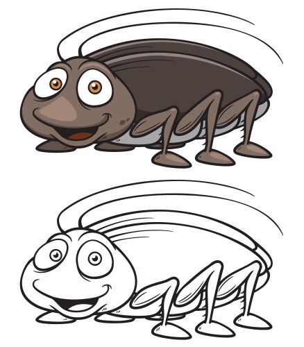 Cockroach Royalty Free Vector Image - VectorStock
