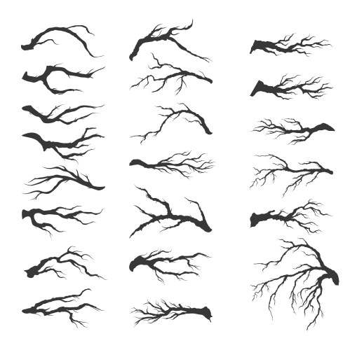 Tree Branches Vector Images (over 290,000)