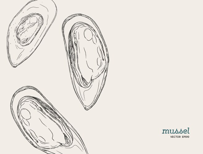 Hand drawn mussels Royalty Free Vector Image - VectorStock