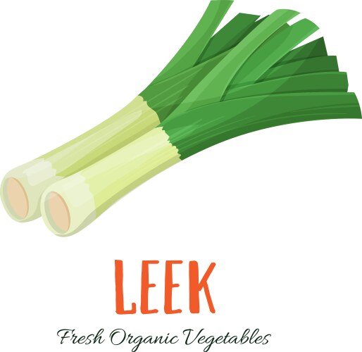 Leek vegetable cartoon Royalty Free Vector Image