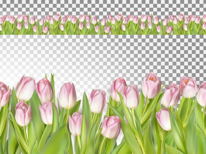 Spring grass seamless border with flowers Vector Image