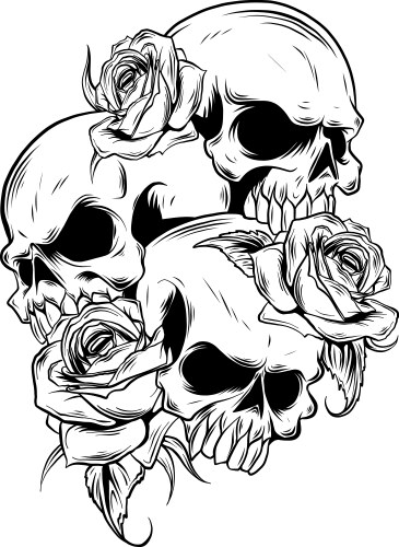 Skull and cross Royalty Free Vector Image - VectorStock