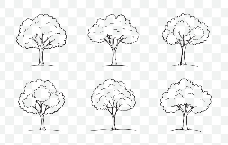 Ash Vector Images (over 22,000)