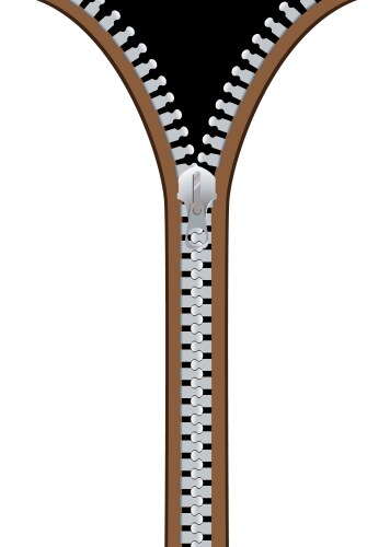 Short zip icon cartoon style Royalty Free Vector Image