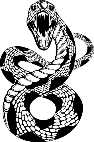 Snake Vector Images (over 69,000)