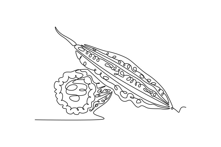 Bitter Gourd Plant Drawing