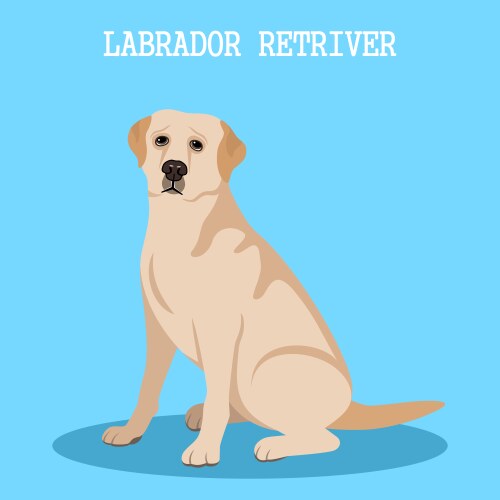 Labrador Vector Images (over 12,000)